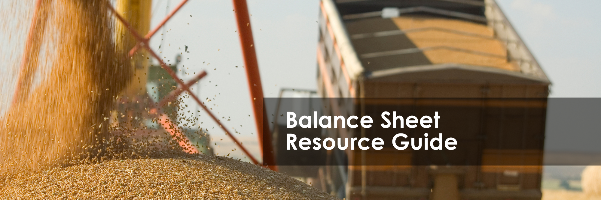 Balance Sheet Resource Guide | AgriFinancial